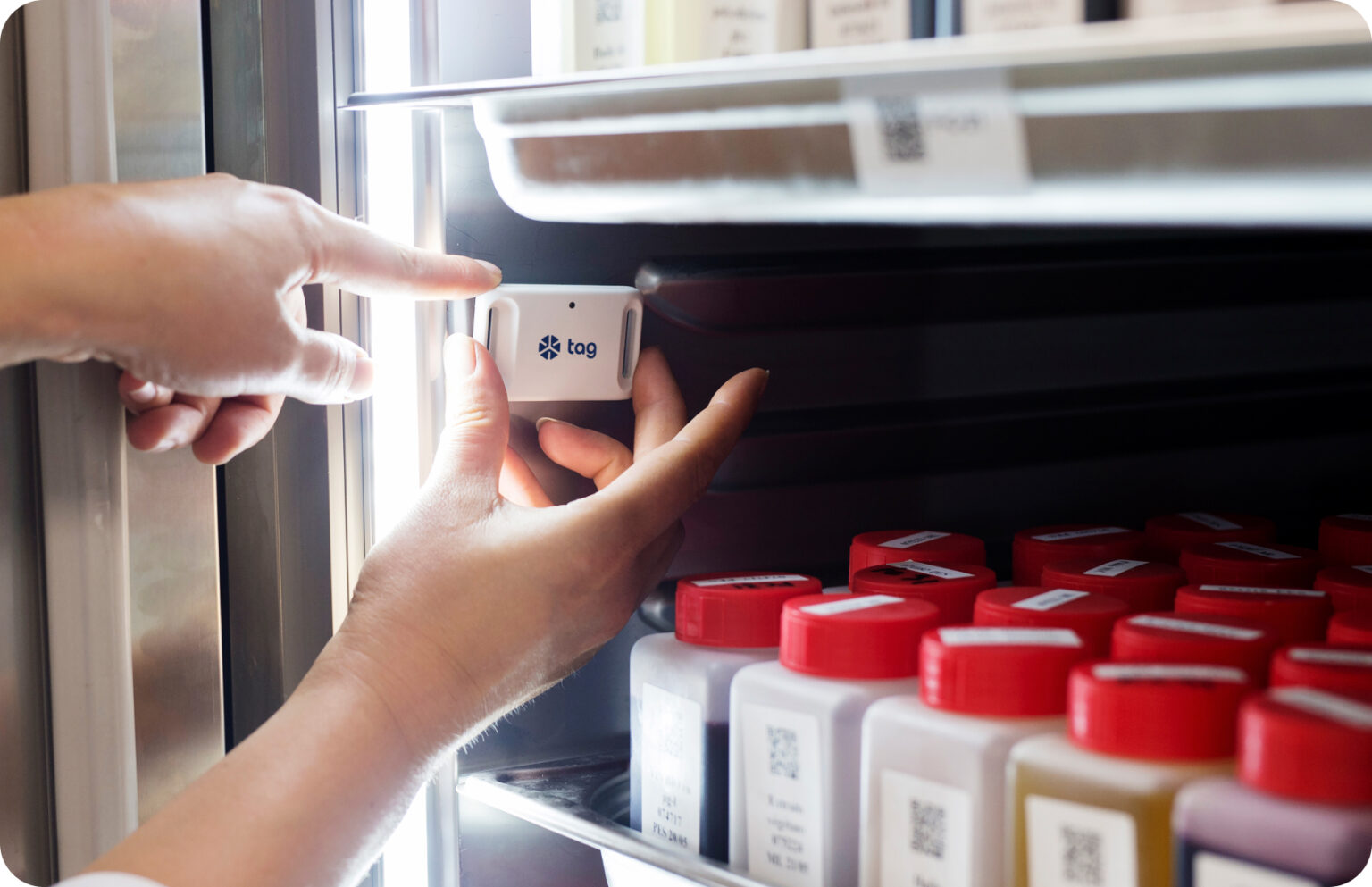 Différence entre chambre froide positive et négative : Aide au choix