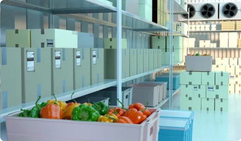 Conservation en chambre froide pour fruits et légumes - Koovea